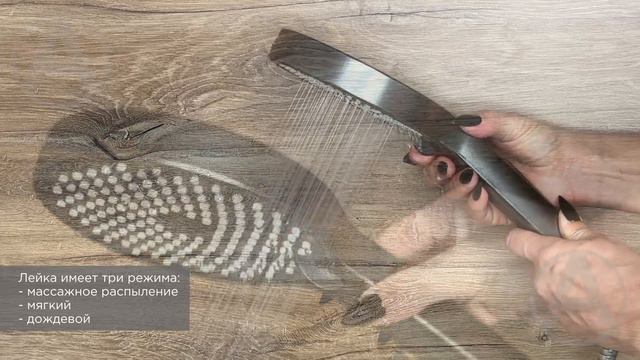 Лейки для ручного душа Shevanik SH50-1; SH50T-1; SH50H-1; SH83H-1; SH83-1