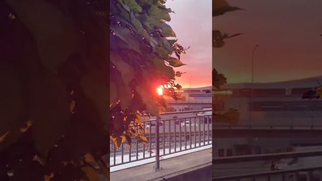 «Как у солнышка золоты лучи».. ??? ?.mp4