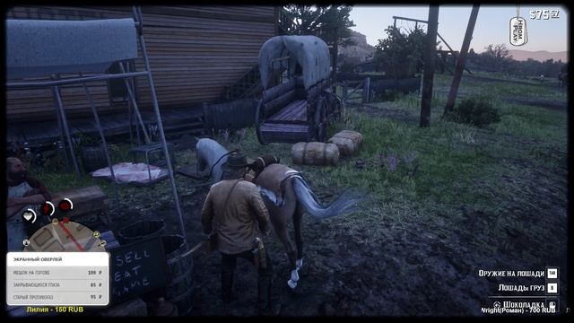 Прохождение Red Dead Redemption 2 часть 7.1 (Глава 2)