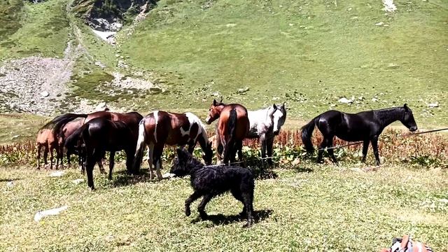 Архыз — 2022. Август. 4