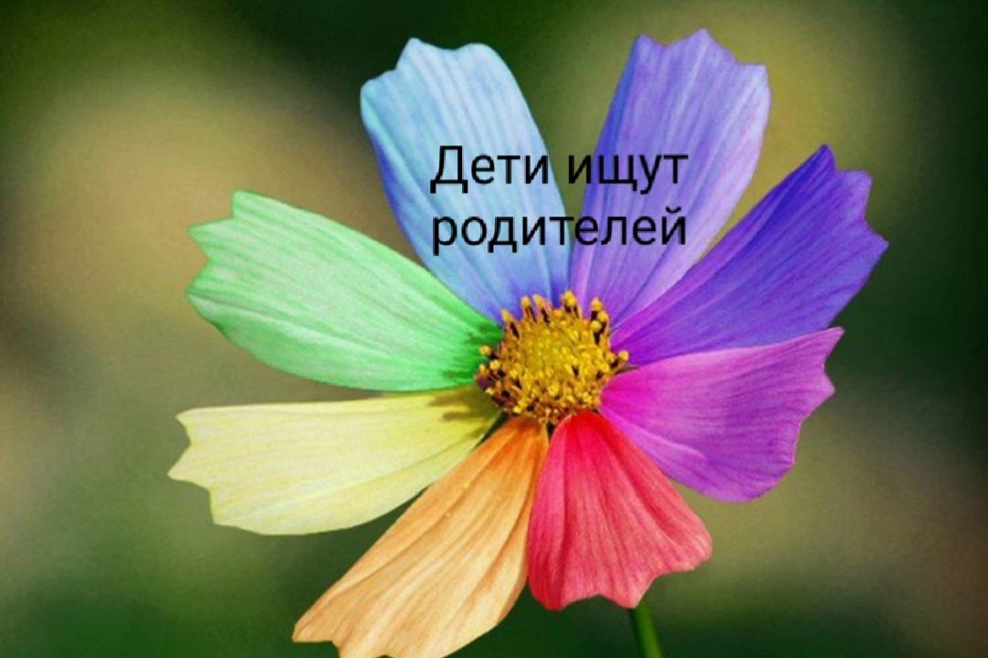 Дети ищут родителей