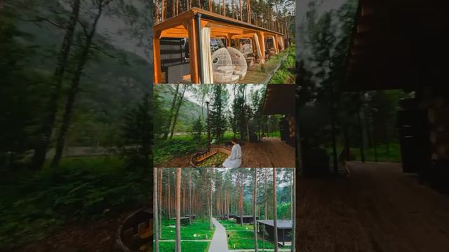 Отдохни среди природы Алтая с PINEWOOD resort&spa
