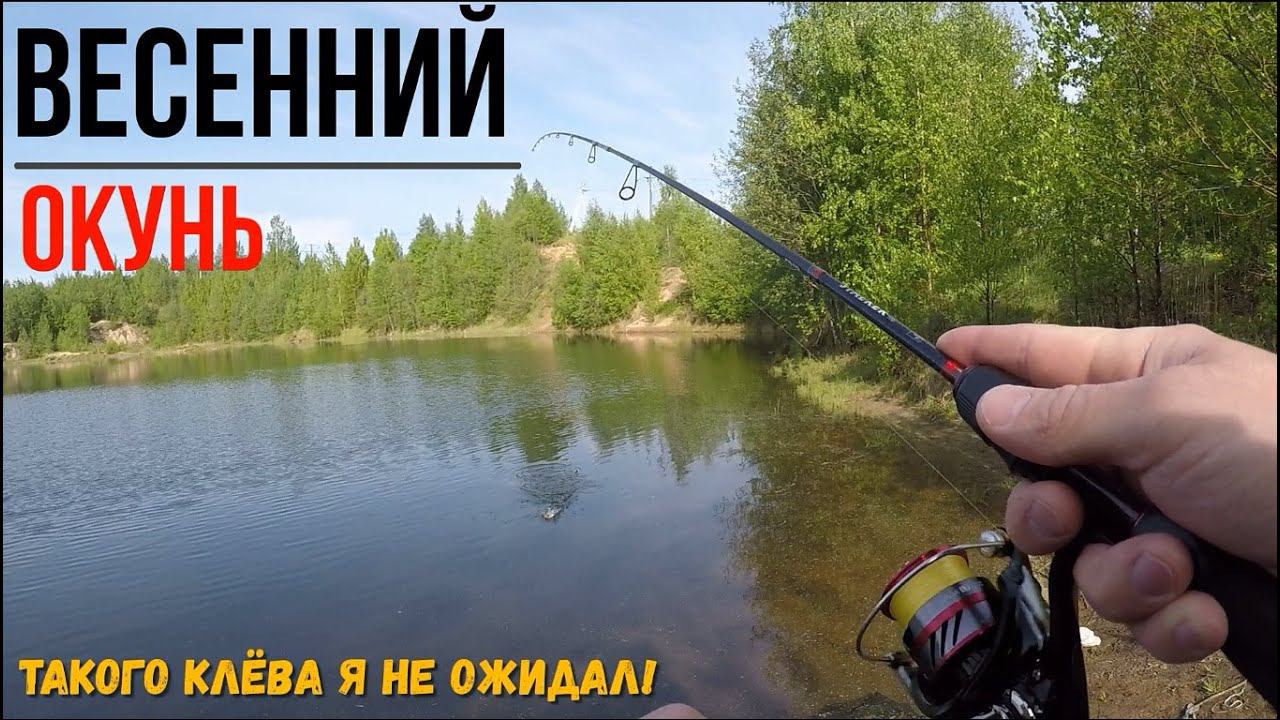 Ловля окуня на спиннинг! Рыбалка на карьере!