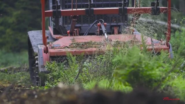 Самоходный лесной мульчер PRINOTH RAPTOR 300