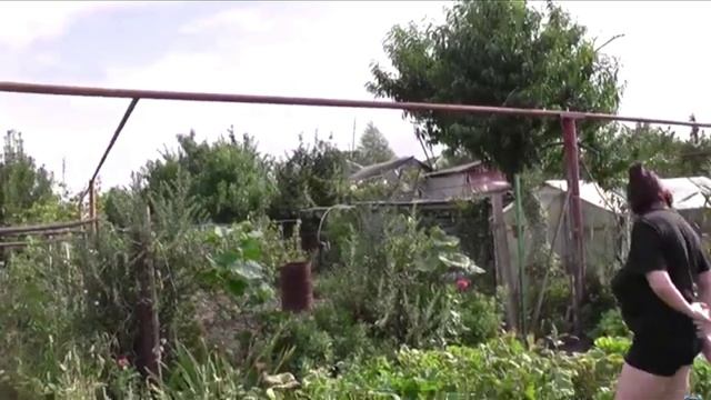 ЭКСКУРСИЯ ПО УЧАСТКУ. ШОК ПРОШЕЛ, ИДЁТ ПРИНЯТИЕ))) 2 стадия. Гнев