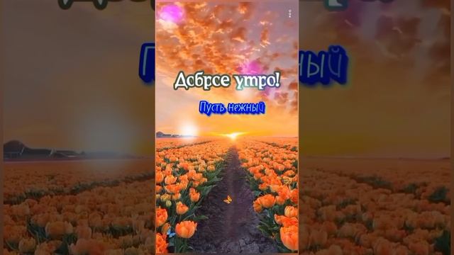 Доброе утро☀ ?⏰ ???