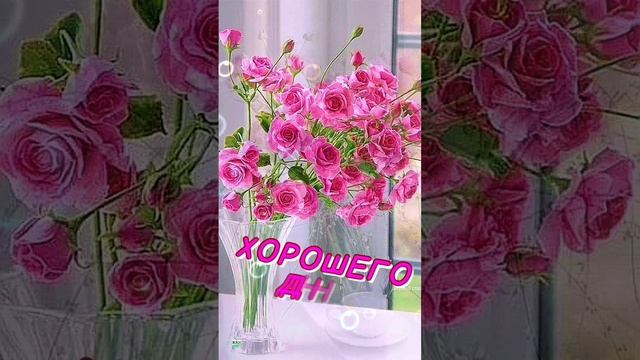 Доброго утра. Хорошего дня
