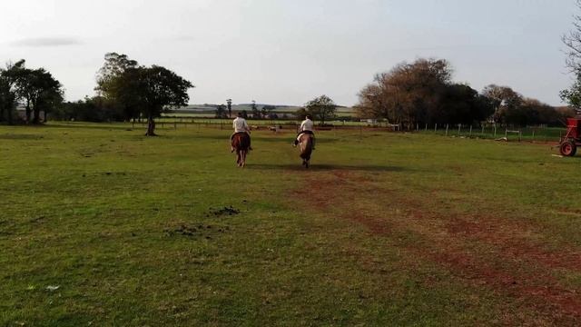 Тав таванам. Сергей Михайлов.