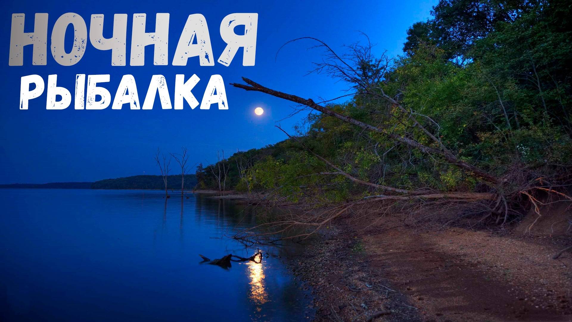 За лещом в ночь! Рузское водохранилище , Беляная Гора 2024