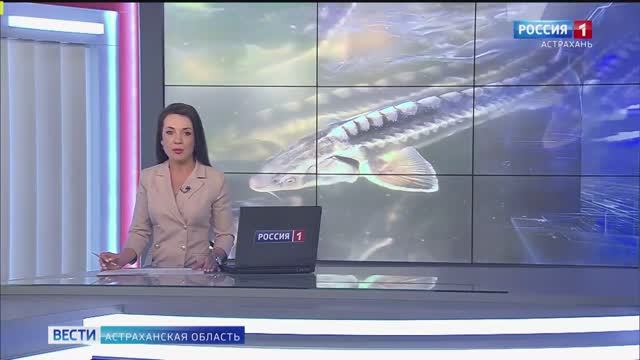 КТК_Россия 1_19.05.2022.mp4