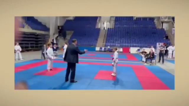 Открытый турнир имени дважды Героя Советского Союза лётчика-космонавта СССР Виктора Горбатко