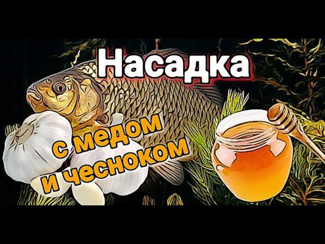 Как приготовить макароны с медом и чесноком для ловли на фидер и удочку.