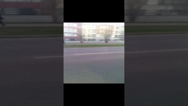 вид из окна автобуса