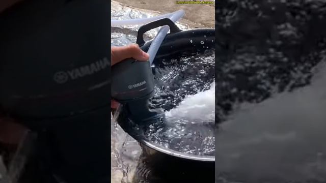 Ямаха 300 л. с. Мощь!