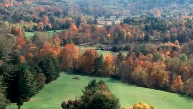 Печальная осень