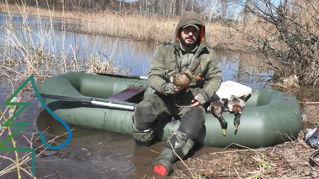 Охота с подсадной уткой - молчуньей. Работа манком. Природа весны: утки, налёт гусей, бобр и ондатра