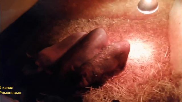 вечерняя управа