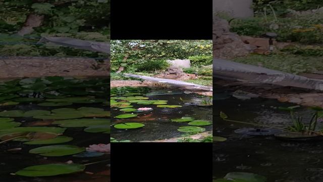 Дождик не кончайся!