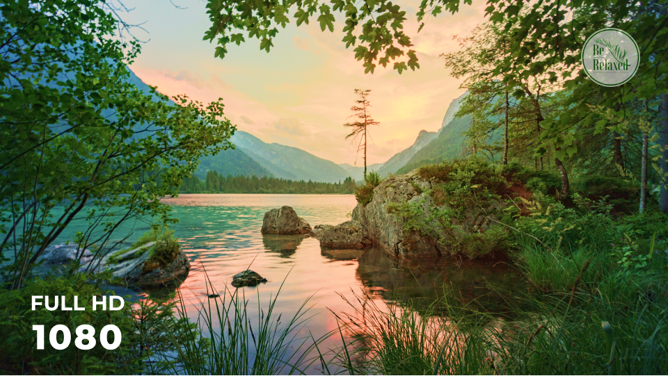 Звуки сверчков около реки | Тёплый вечер у реки | Концентрация для учёбы