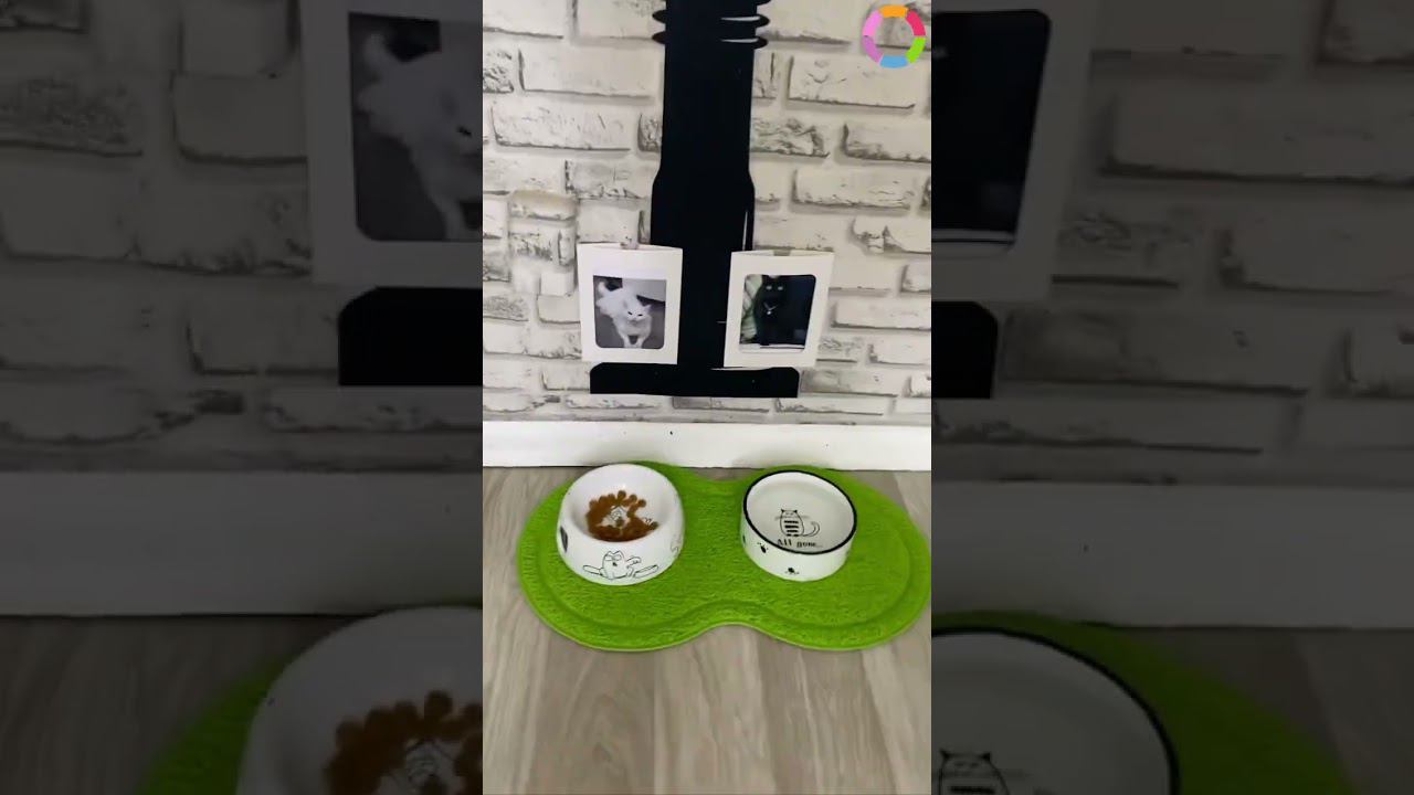 Легкий способ увеличить питье кошками #котики #лайфхак #probalanceкорм #шортс