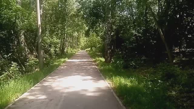 парк юбилейный #барнаул белка у велодорожки и поймы пивоварки