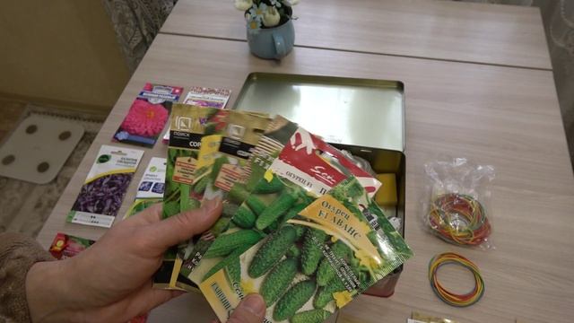 Домашнее видео. Разбираю семена по сортам и срокам посева. 11 января 2024 года.