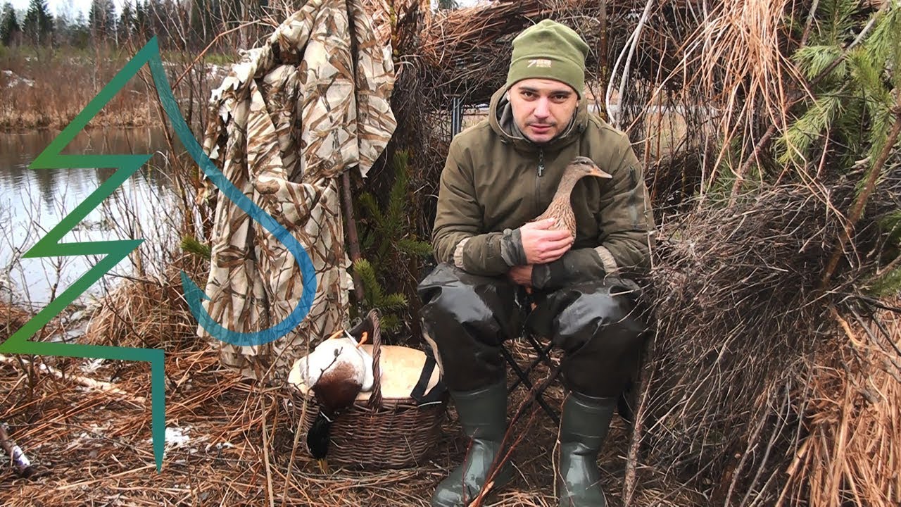 Открытие весенней охоты на селезня с подсадной уткой Тонькой. Весенняя охота в Подмосковье.