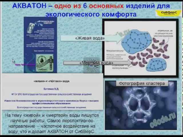 Акватоны_активаторы воды и пищи_от_СибВерС.avi