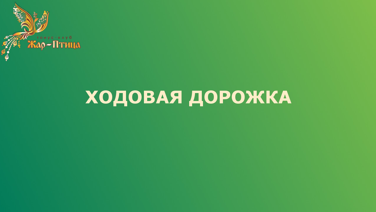 Ходовая дорожка.mp4