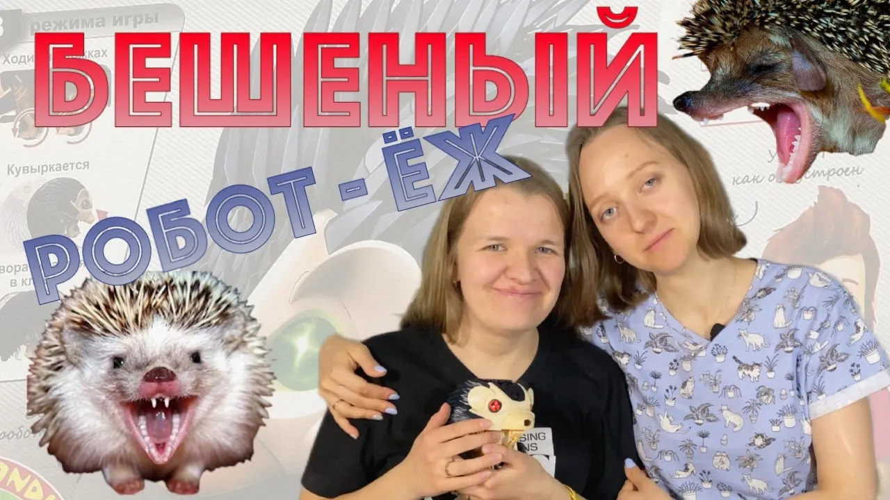 #СПЕЦВЫПУСК 172? BONDIBON "Робот ёжик" | #КуПазз