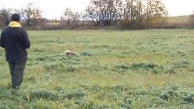 Fleurette FPr-1, 79/100, 2013г