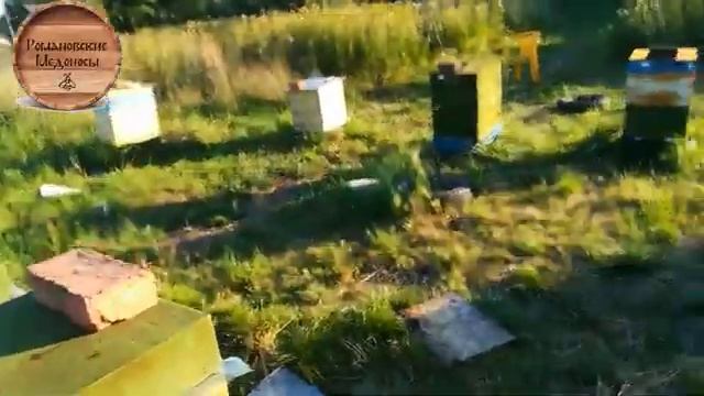 АРОМАТНАЯ  ПАСЕКА