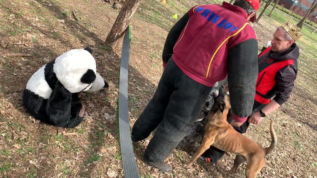 Тренировка в Адыгее