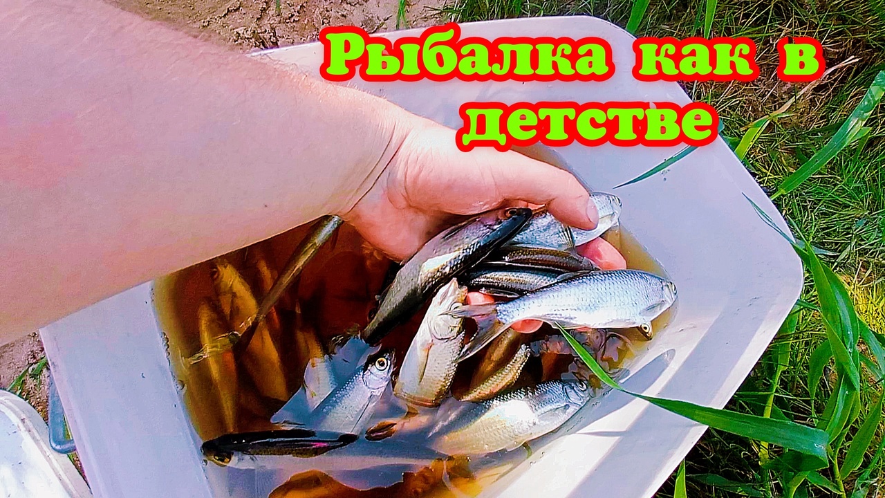 ПОКЛЕВКА ПОЧТИ НА КАЖДОМ ЗАБРОСЕ. ПАПАЛИ НА ЖОР УКЛЕИКИ-САЛАКИ.ЛОВЛЯ НА ПОПЛАВОЧНУЮ УДОЧКУ