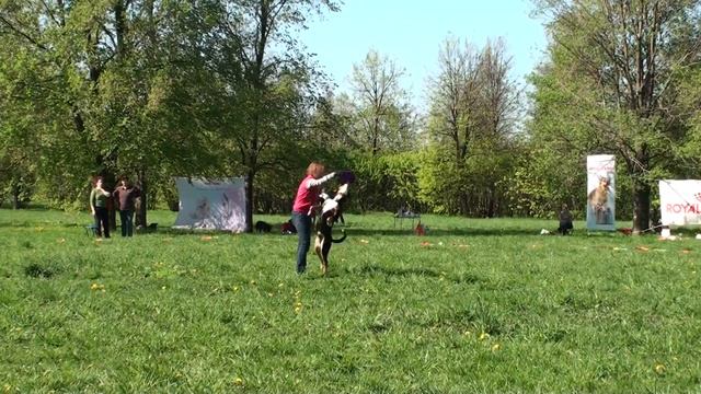 Турнир Победы. Дарья и Гвидон..mp4