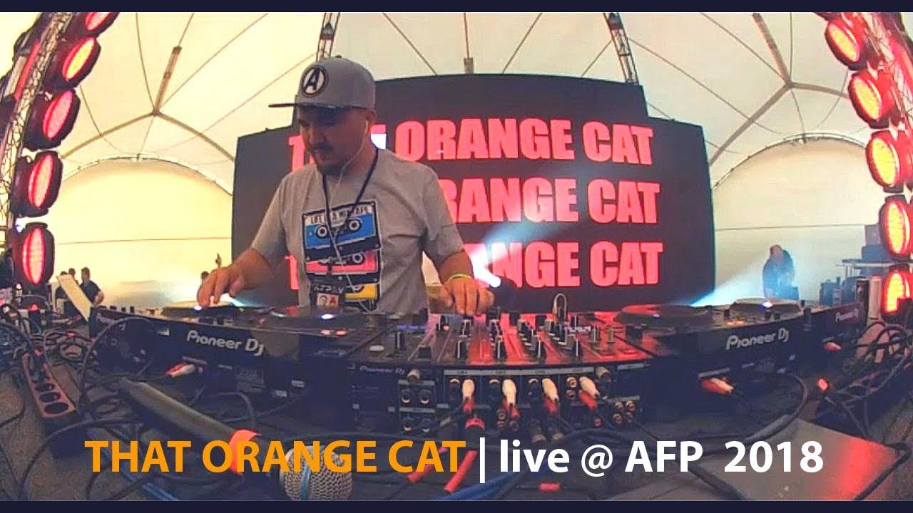 AFP 2018 Mix - THAT ORANGE CAT (aka Kuraj-Bambey)