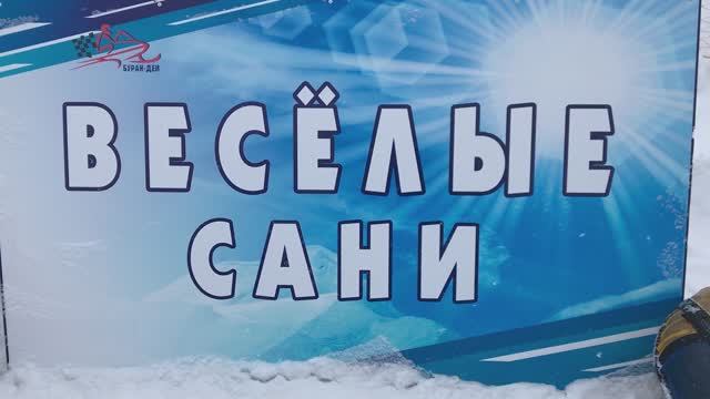 Весёлые сани