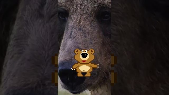 Мишкин стендап.Часть 8