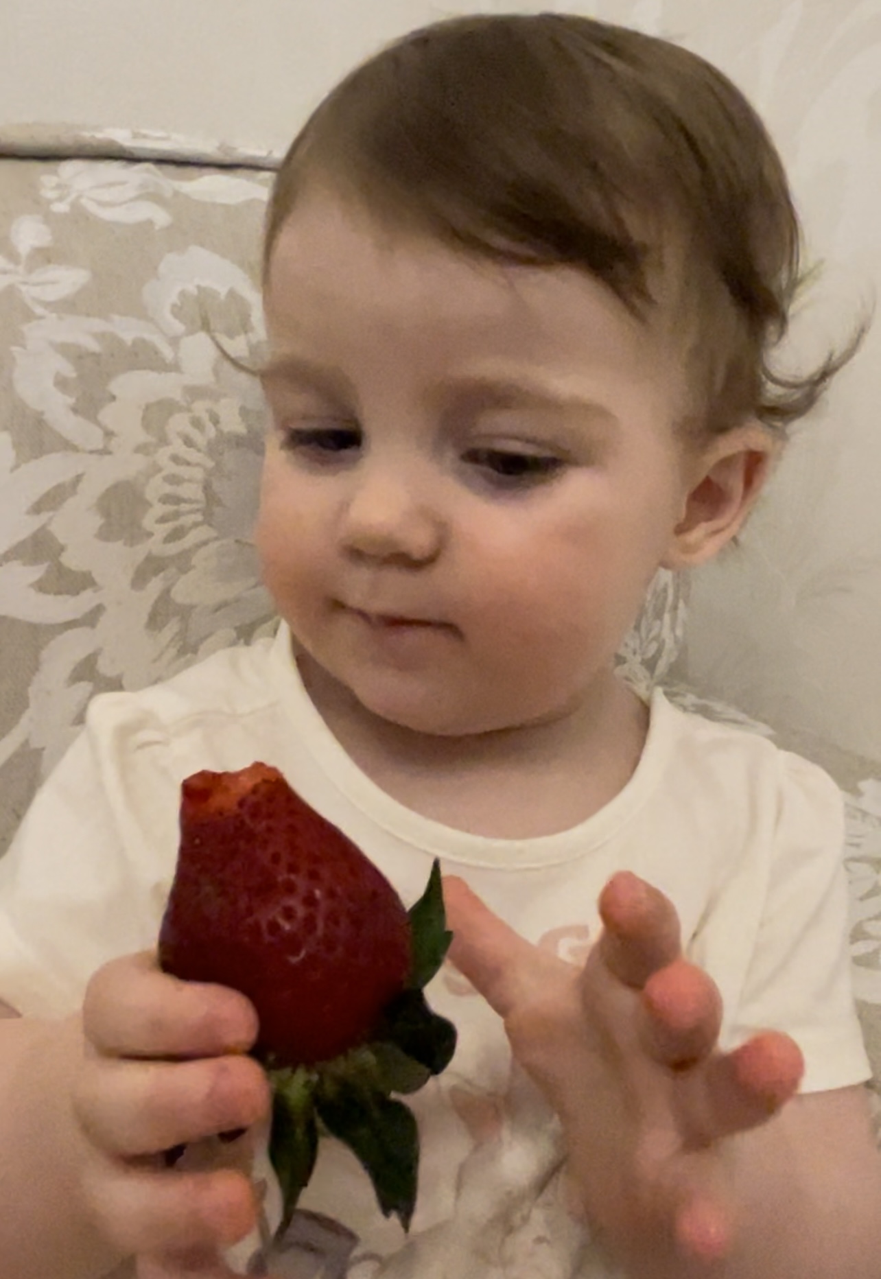 Первый раз пробует клубнику 🍓🍓🍓🍓🍓