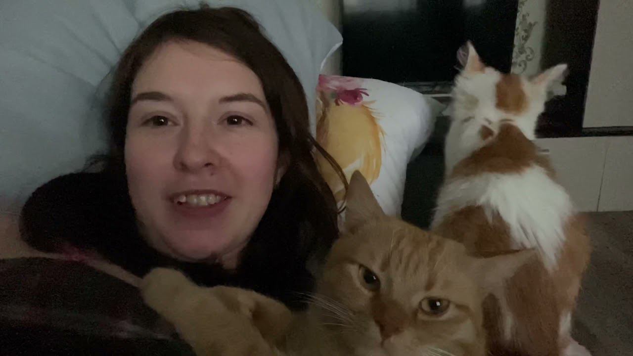 Влог 05.12.21 | Новогодний шоппинг | Минутки милоты