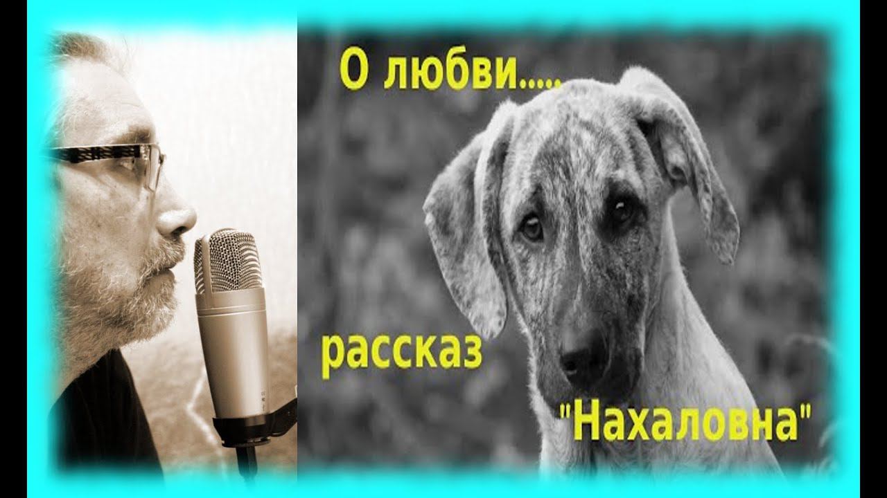 Нахаловна Рассказ из реальной жизни