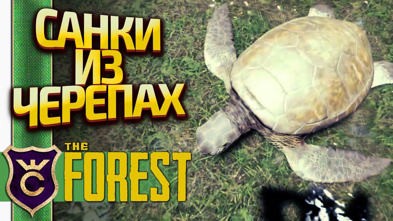КАТАЕМСЯ НА ЧЕРЕПАХАХ! The Forest #2