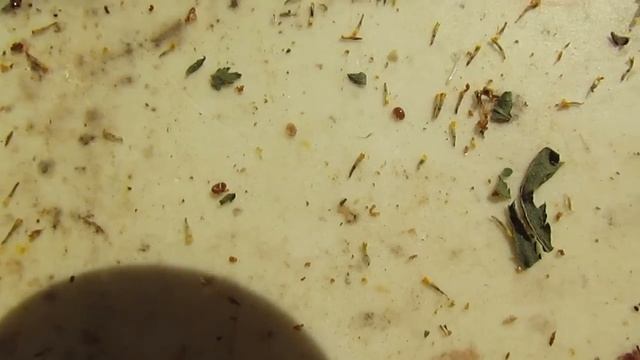 август - 550 клещей упало за 12 дней, ответы на вопросы по обработке пчел пижмой от клеща Варроа