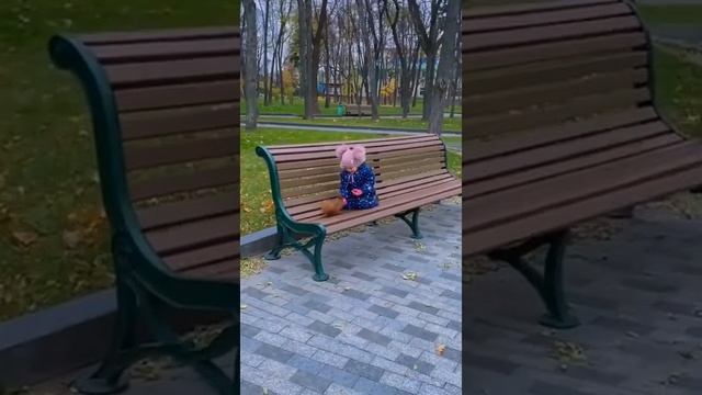 ГОРОДСКАЯ ФАУНА