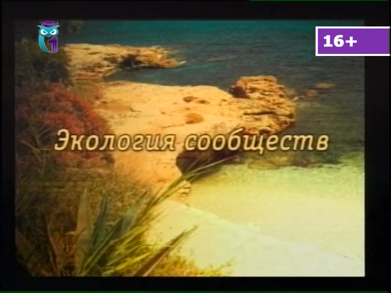 Экология популяций и сообществ. Экология сообществ