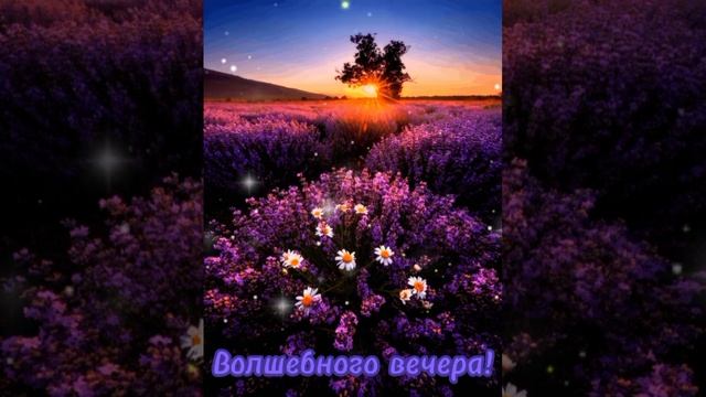 Вечерняя песня соловья и сверчков. Вечерний релакс под звуки природы.