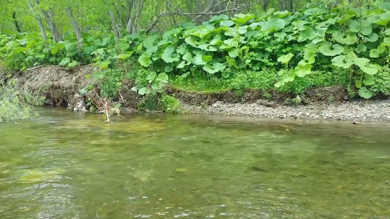 Твой дух знает - следуй за ним...