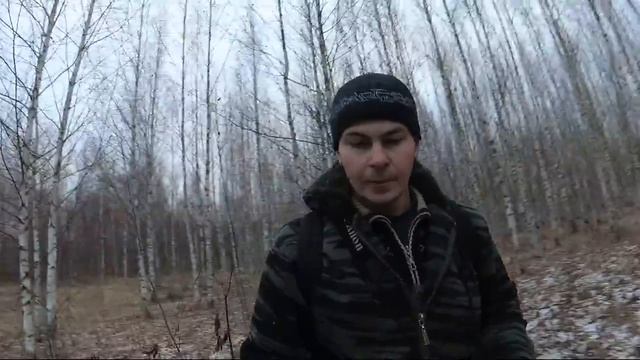 Прогулка по лесу.Поиск кадра в осеннем лесу