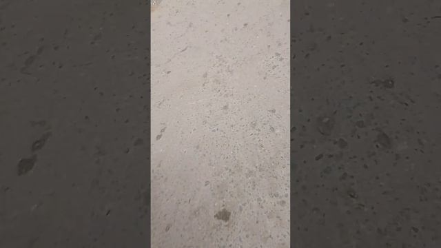 lv_0_20240904180818.mp4ва