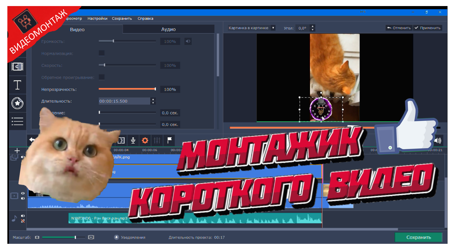 МОНТИРУЕМ КОРОТКОЕ ВИДЕО ПРО КОТА!